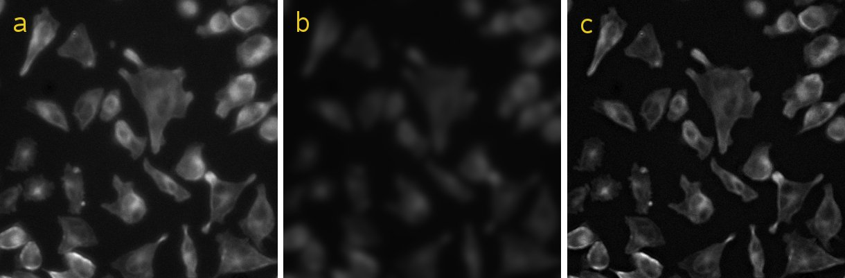 Image analysis for microscopy screens